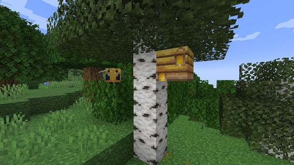 How To Get Honeycomb In Minecraft